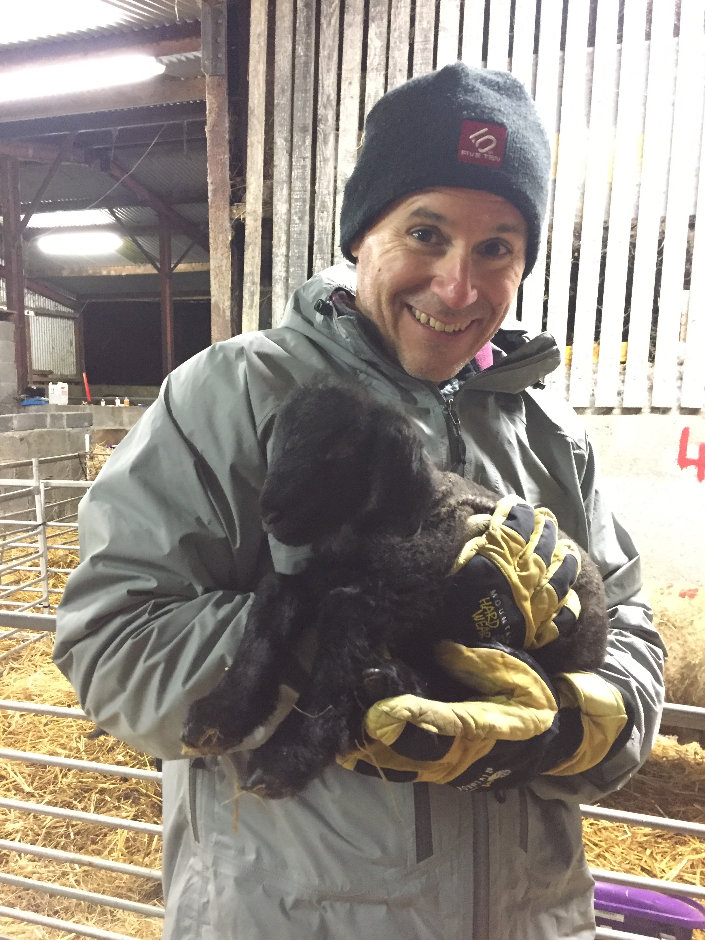 Sheep farming in Ireland – It's a Gavination
