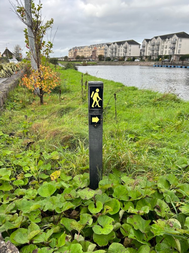 The Dingle Way – It's a Gavination