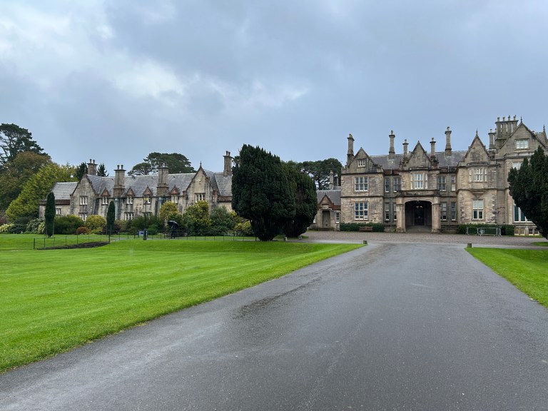 The Dingle Way – It's a Gavination